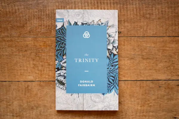 The Trinity (Paperback) by Donald Fairbairn